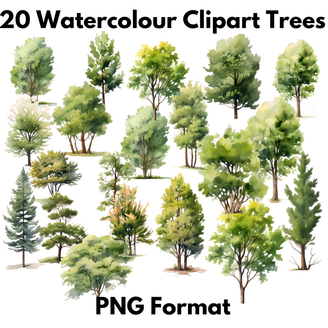 20 Watercolour Clipart Trees - PNG Format - Etsy UK