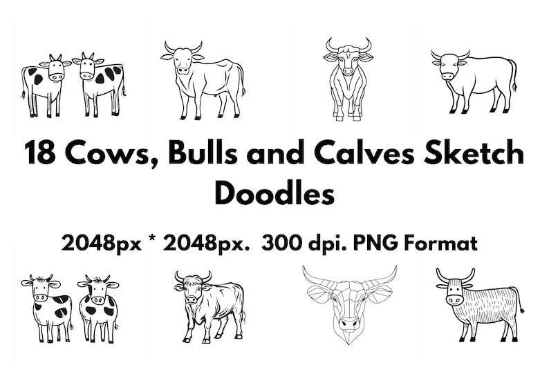 18 Cows Bulls and Calves Sketch Doodles - PNG Format - Etsy