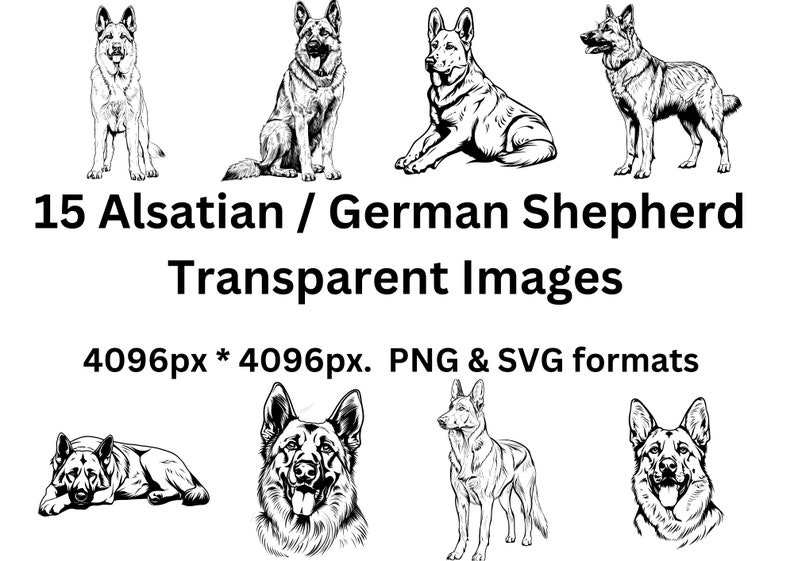 15 Alsation / German Shepherd Dog Black and White Transparent Images ...
