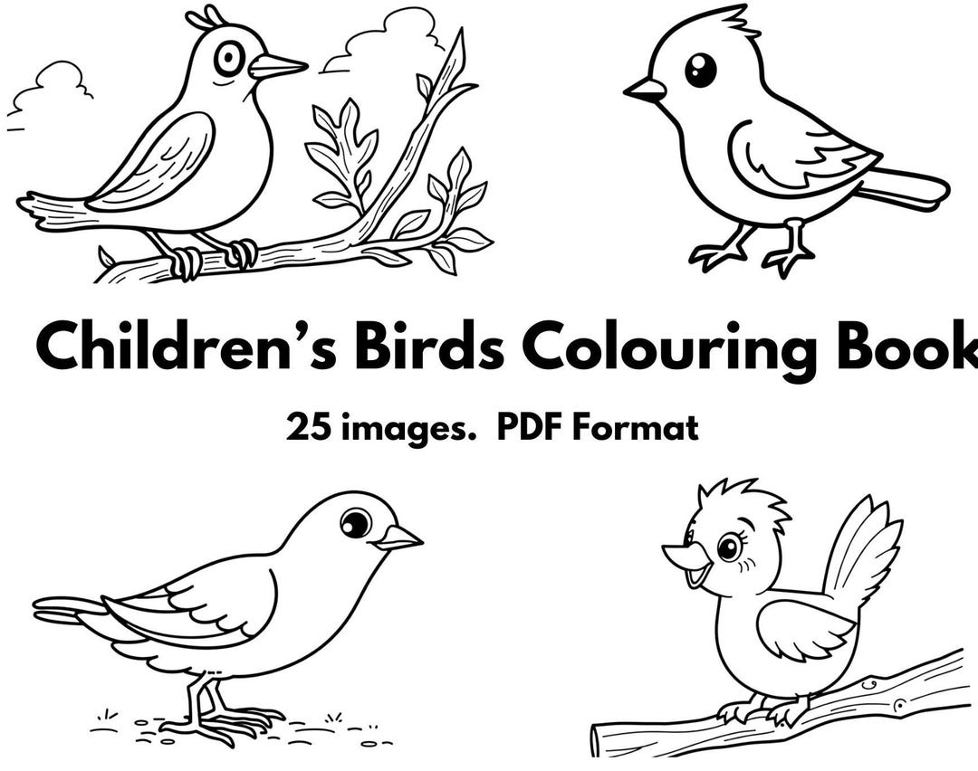 Printable Birds Children's Colouring Book - Ideal for Young Children ...