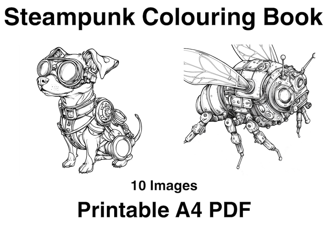 10 Steampunk Colouring Coloring Pages A4 PDF - Etsy