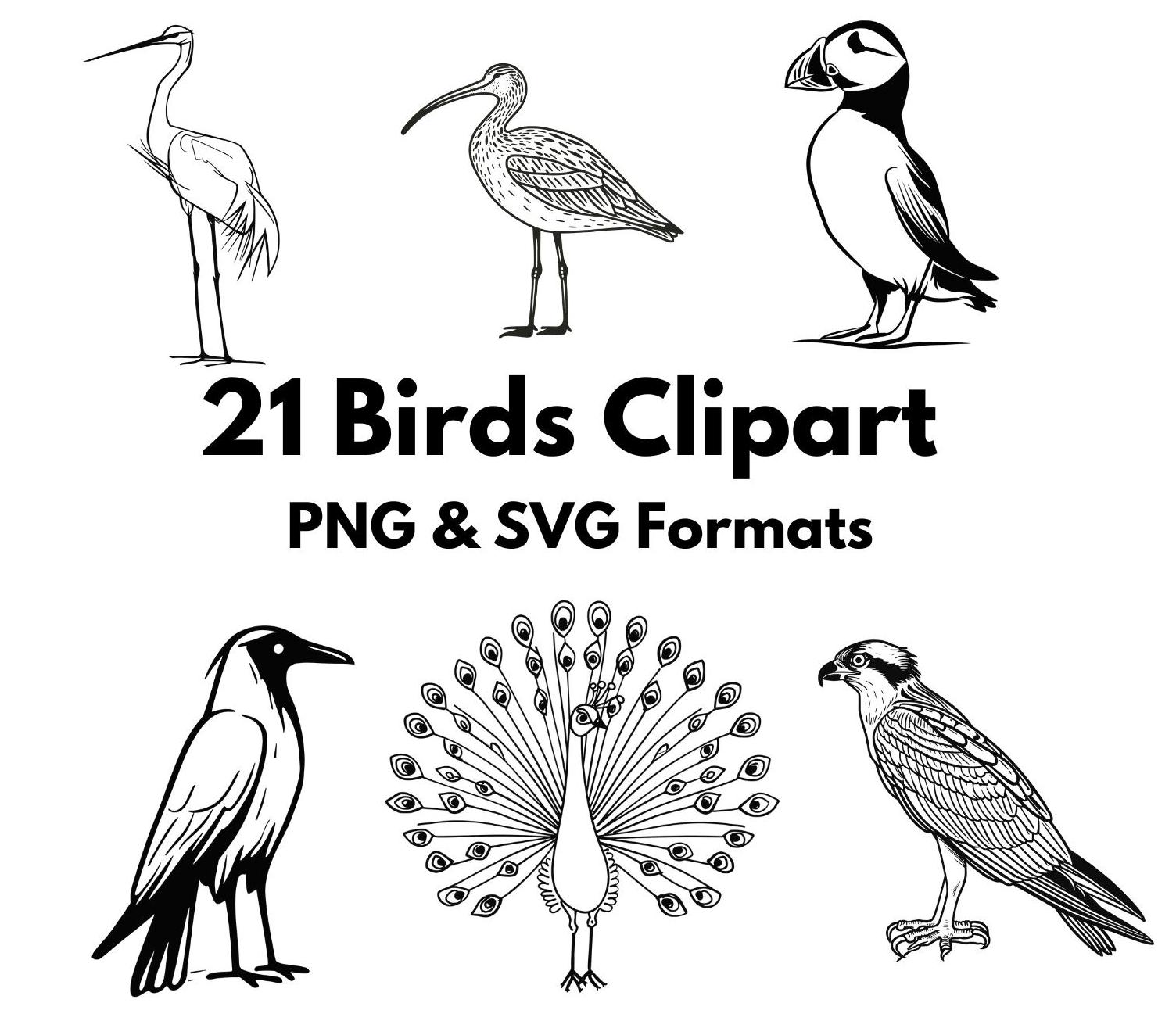 21 Birds Clipart - PNG & SVG Formats - Etsy