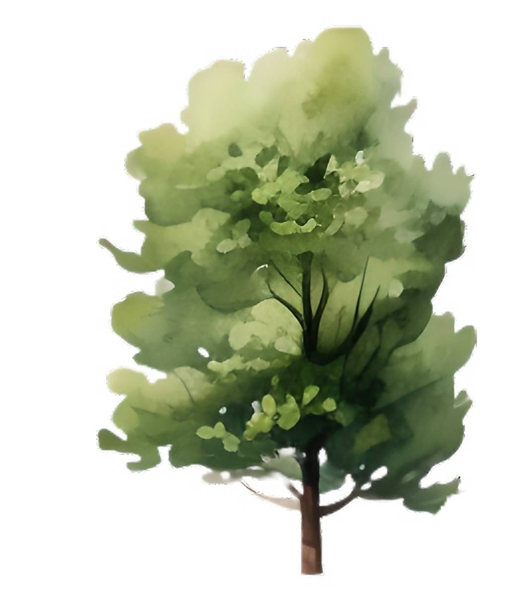 20 Watercolour Clipart Trees PNG Format - Etsy