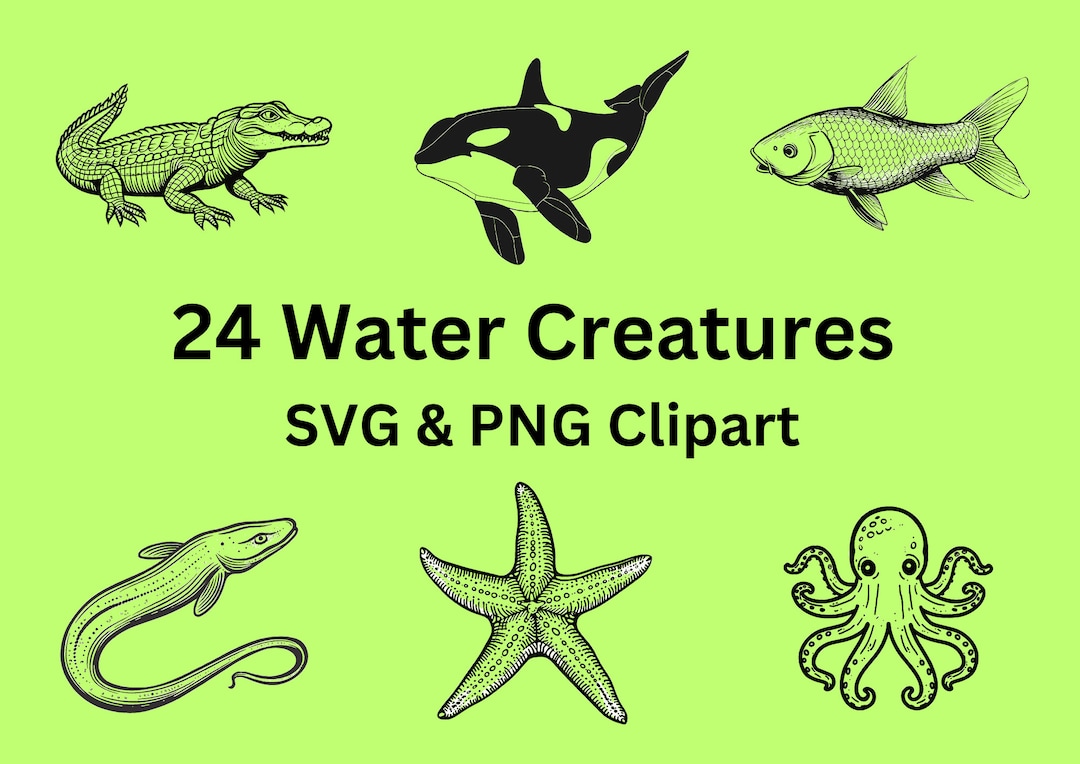24 Water Creatures Fish Mammals Clipart PNG & SVG Images - Etsy