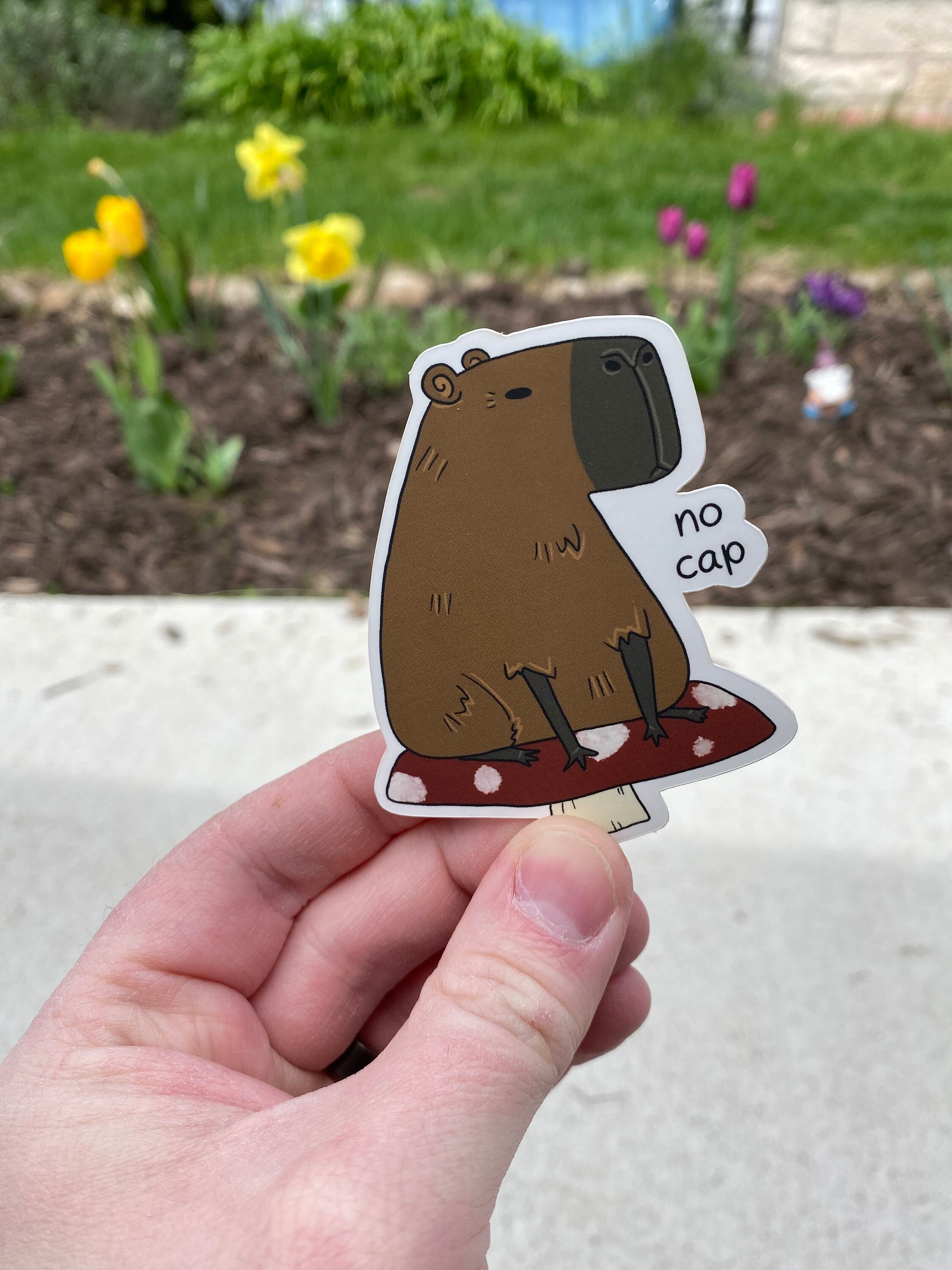 No Cap Capybara Sticker | Funny Animal Art - Etsy