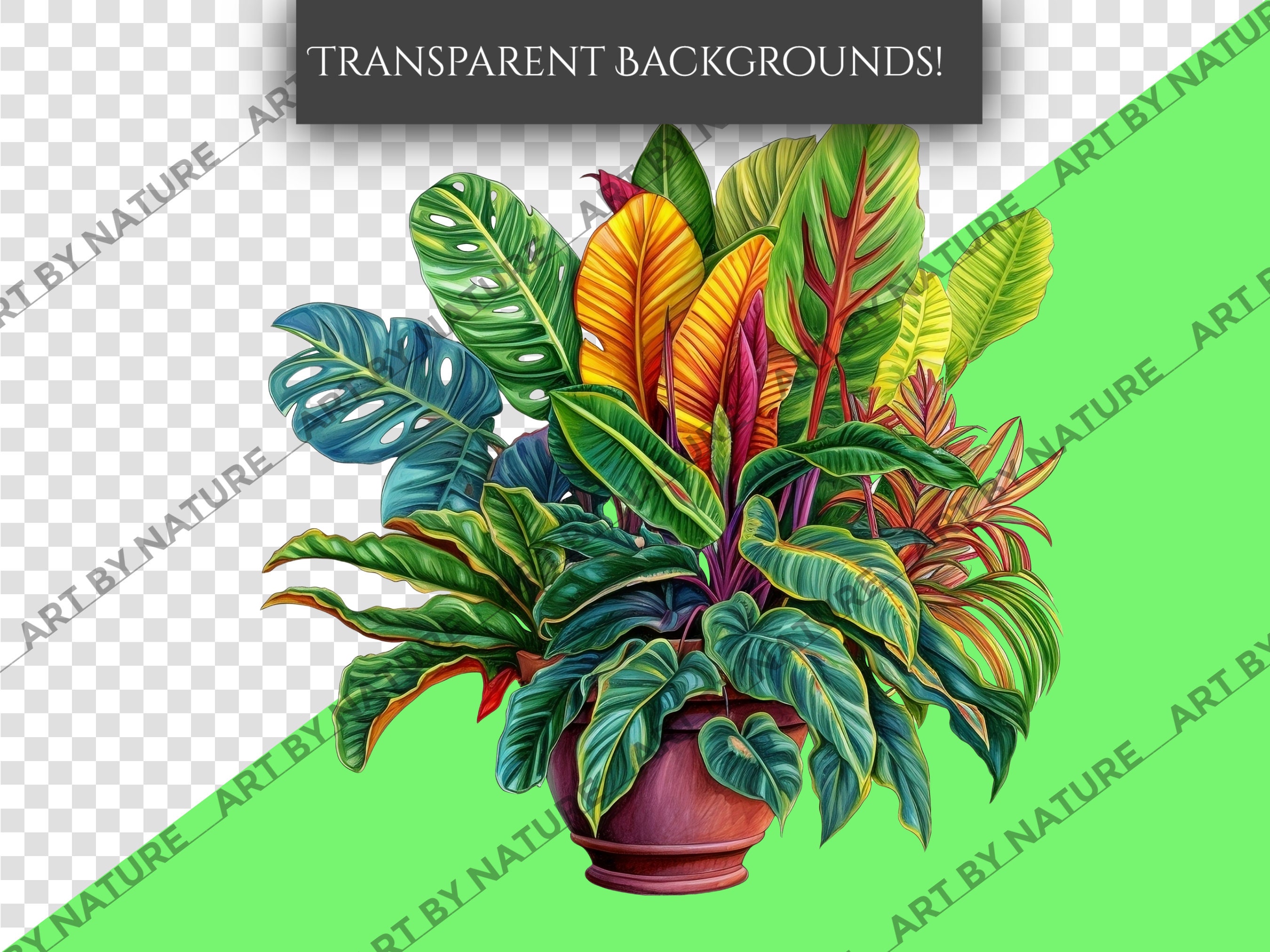 Tropical Houseplants Clipart Pack, Digital Tropical Plants Graphics ...