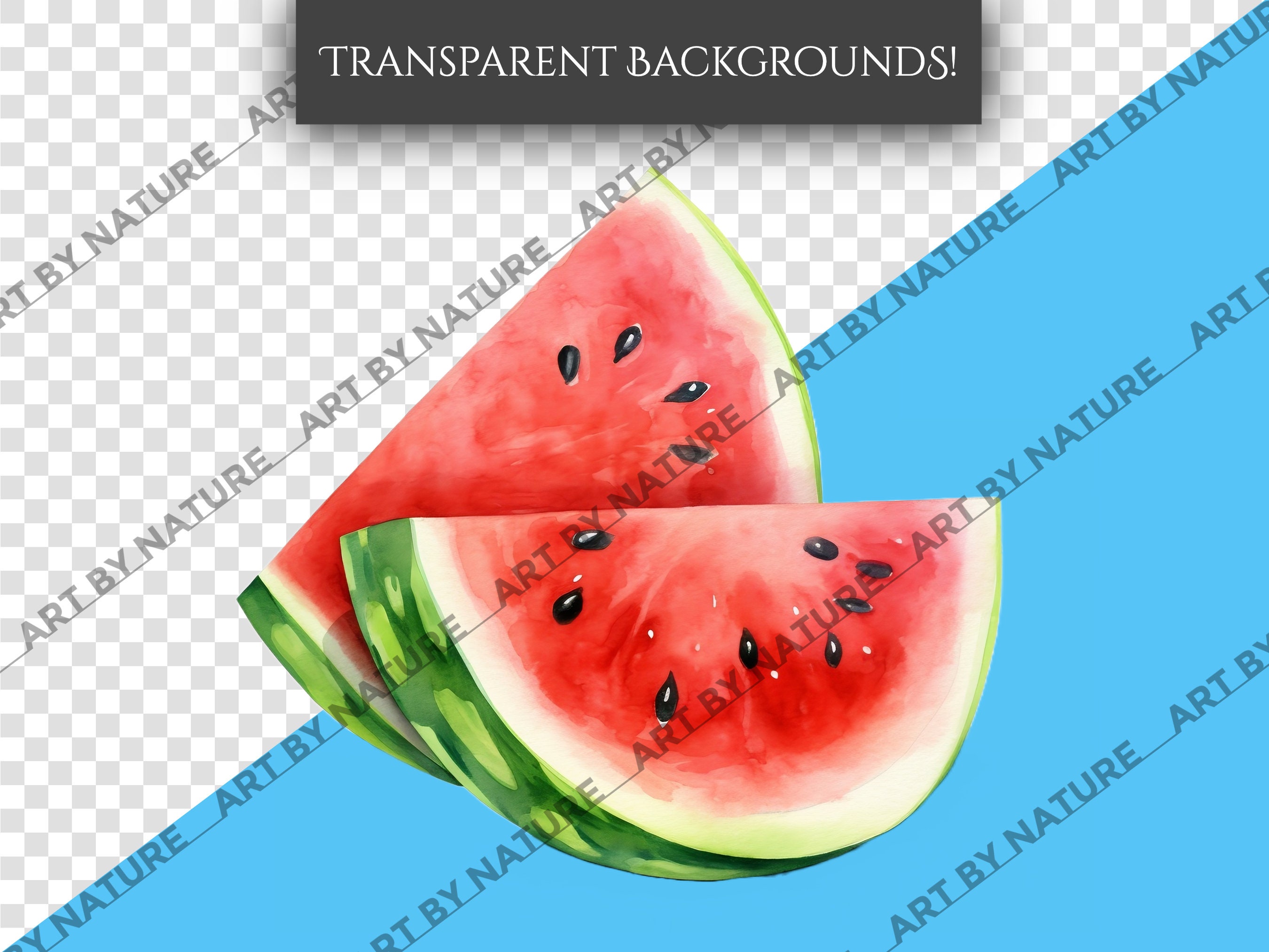 Watermelon Watercolor Clipart Bundle Refreshing Summer Watermelon ...