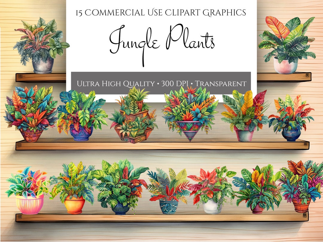 Tropical Houseplants Clipart Pack, Digital Tropical Plants Graphics ...