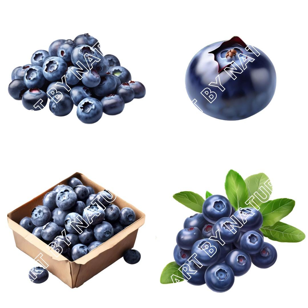 Blueberry Clipart, Commercial Use, Transparent PNG, Blueberries Art ...