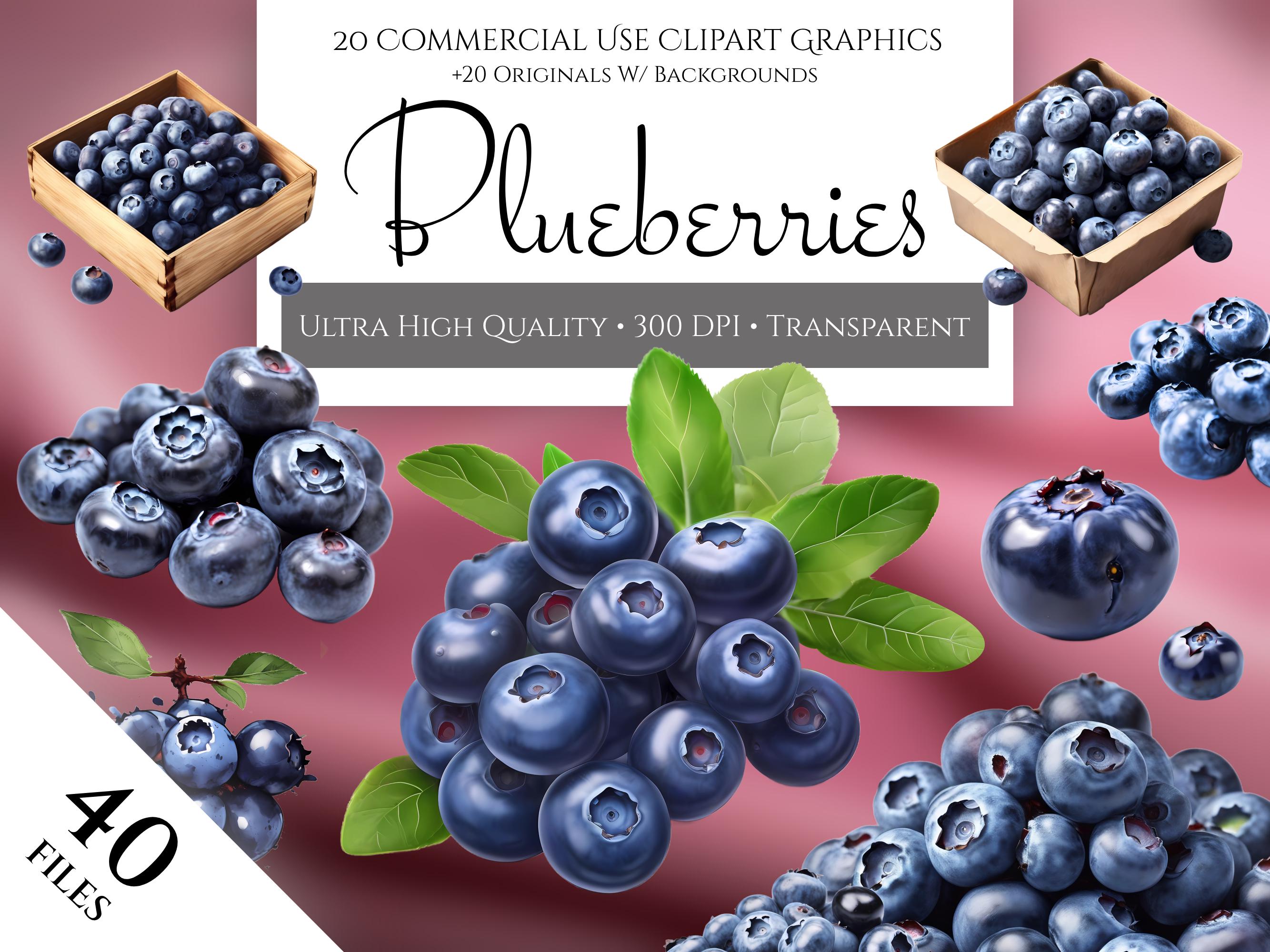 Blueberry Clipart, Commercial Use, Transparent PNG, Blueberries Art ...
