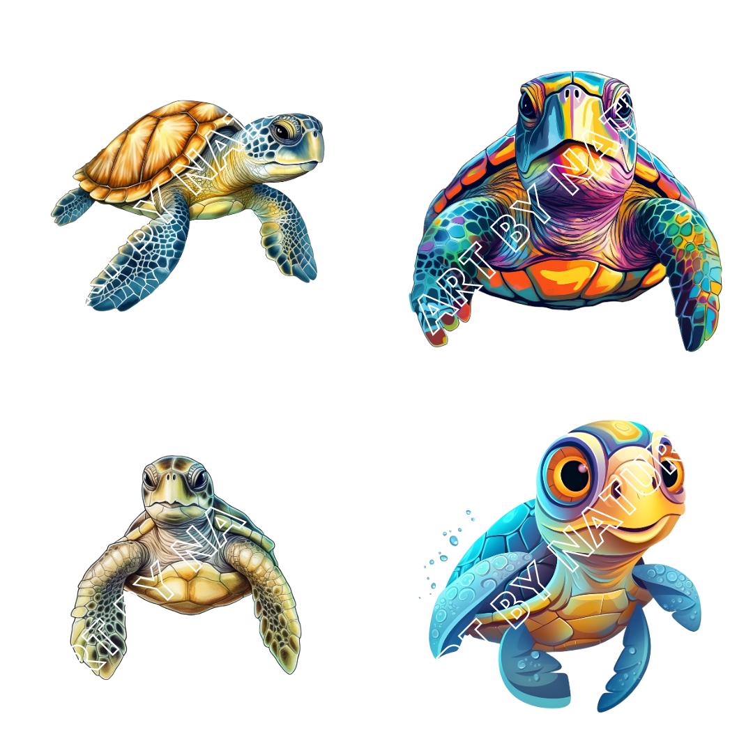 Sea Turtle Clipart Pack, Commercial Use, Transparent Pngs, Marine Life ...