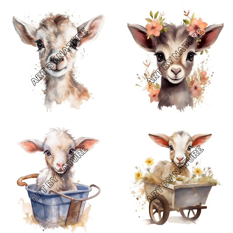 Watercolor Baby Goats Clipart Bundle, Cute Floral Watercolor Baby Goats ...