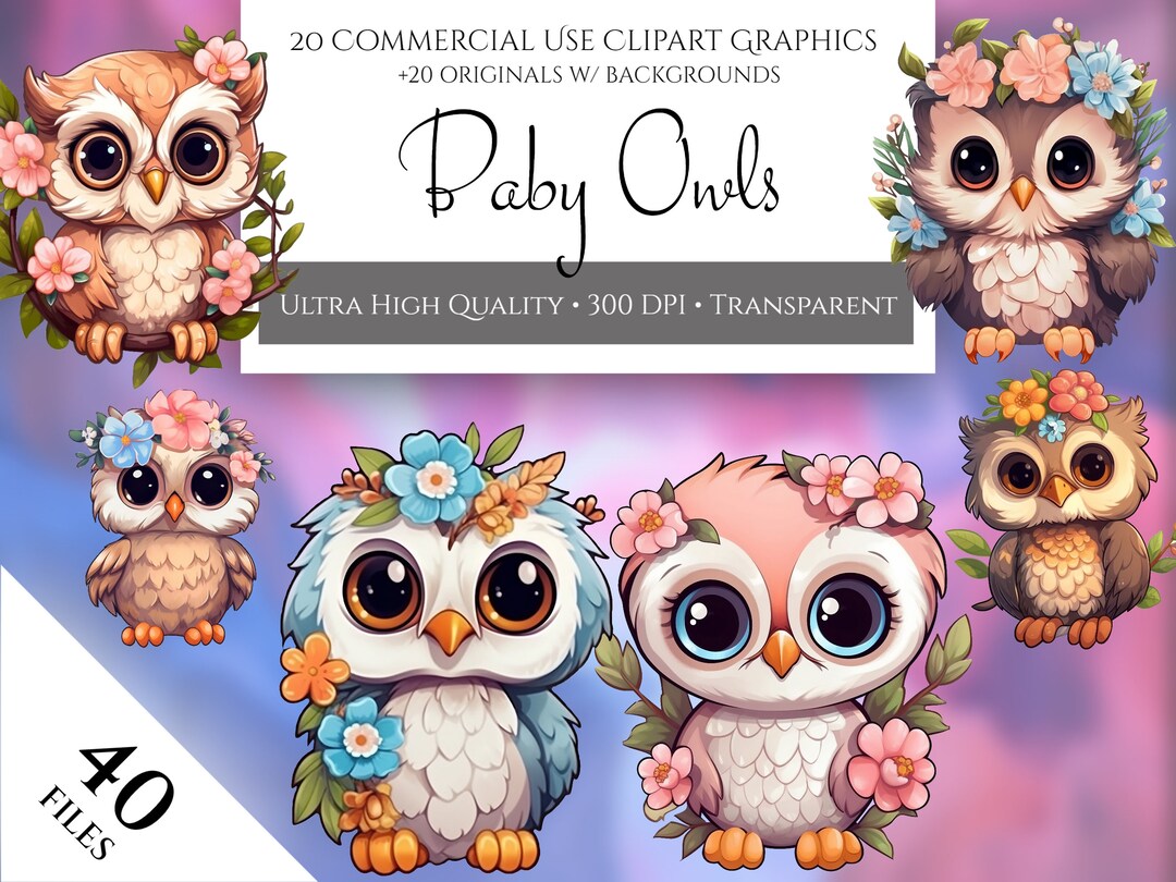 Baby Owl Clipart 20 High Quality PNG With Transparent Background Wall ...