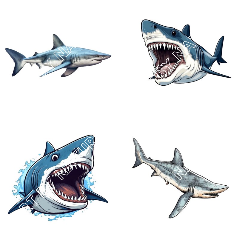Sharks Clipart Pack, Clipart for Commercial Use, Transparent Pngs ...