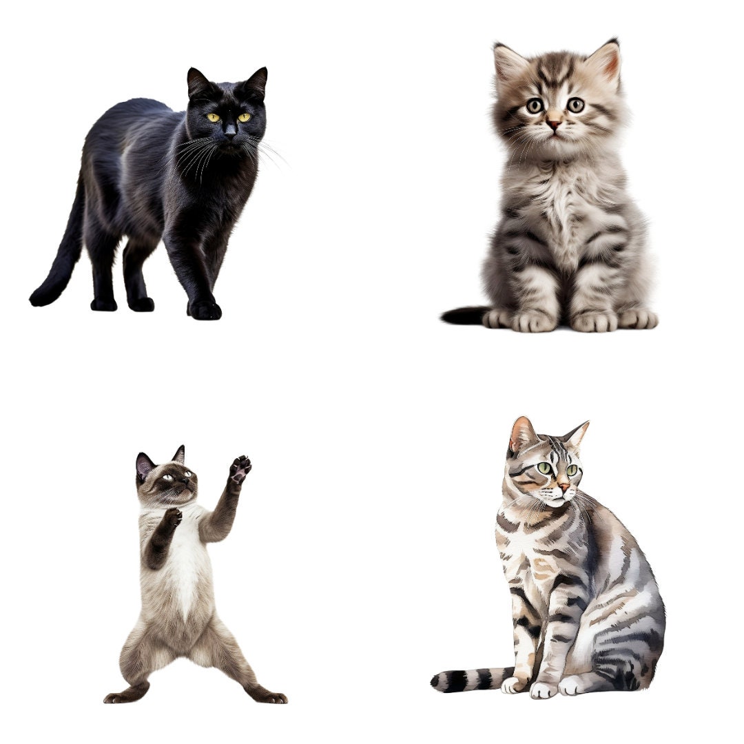 Cats and Kittens Clipart Pack, Clipart for Commercial Use, Transparent ...