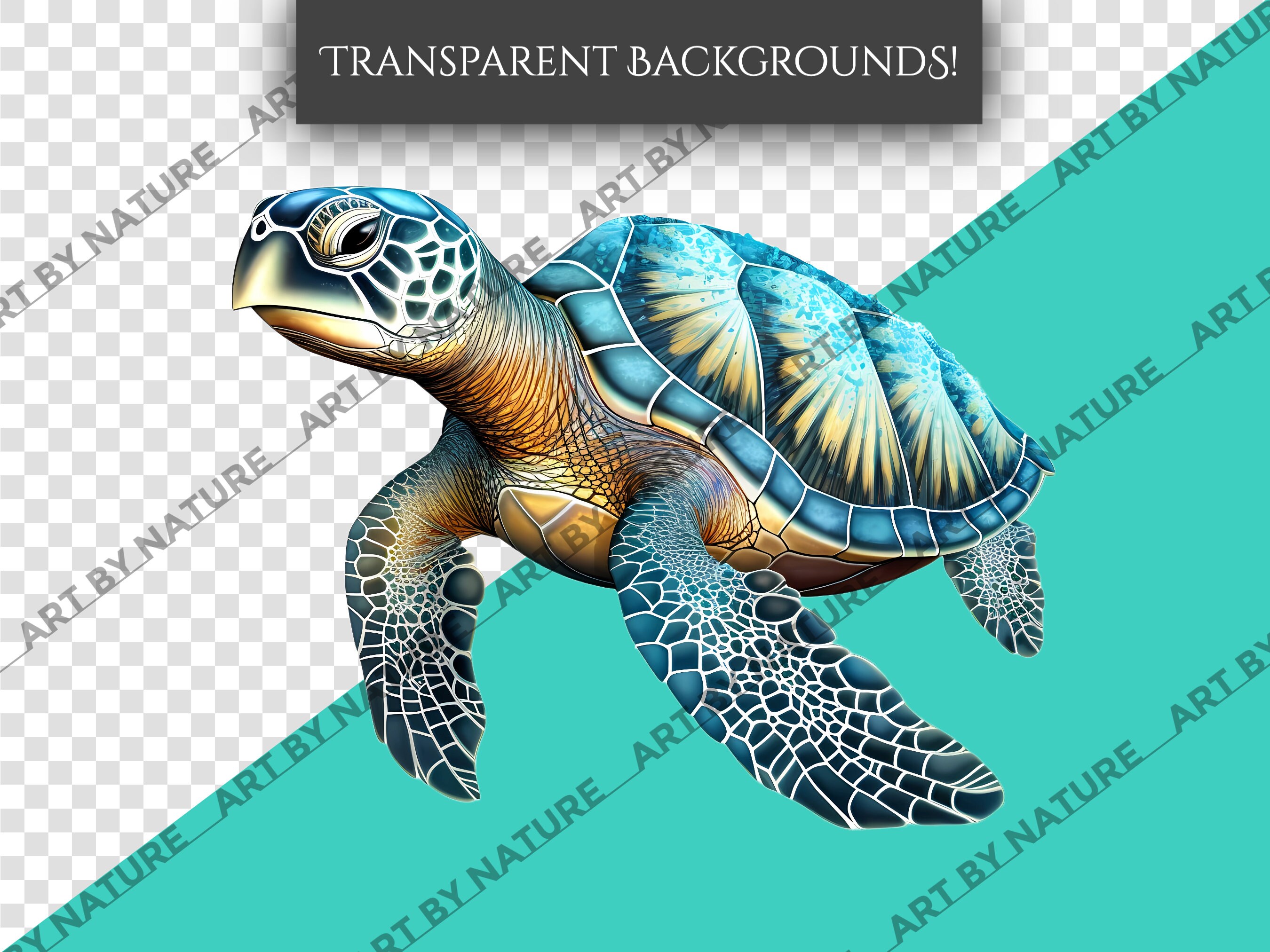 Sea Turtle Clipart Pack, Commercial Use, Transparent Pngs, Marine Life ...