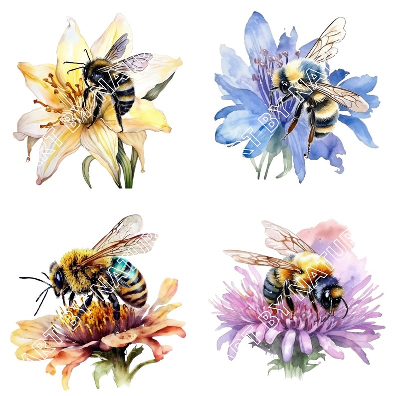 Watercolor Bumblebee Clipart Pack | Summer Clipart | Floral Honeybee ...