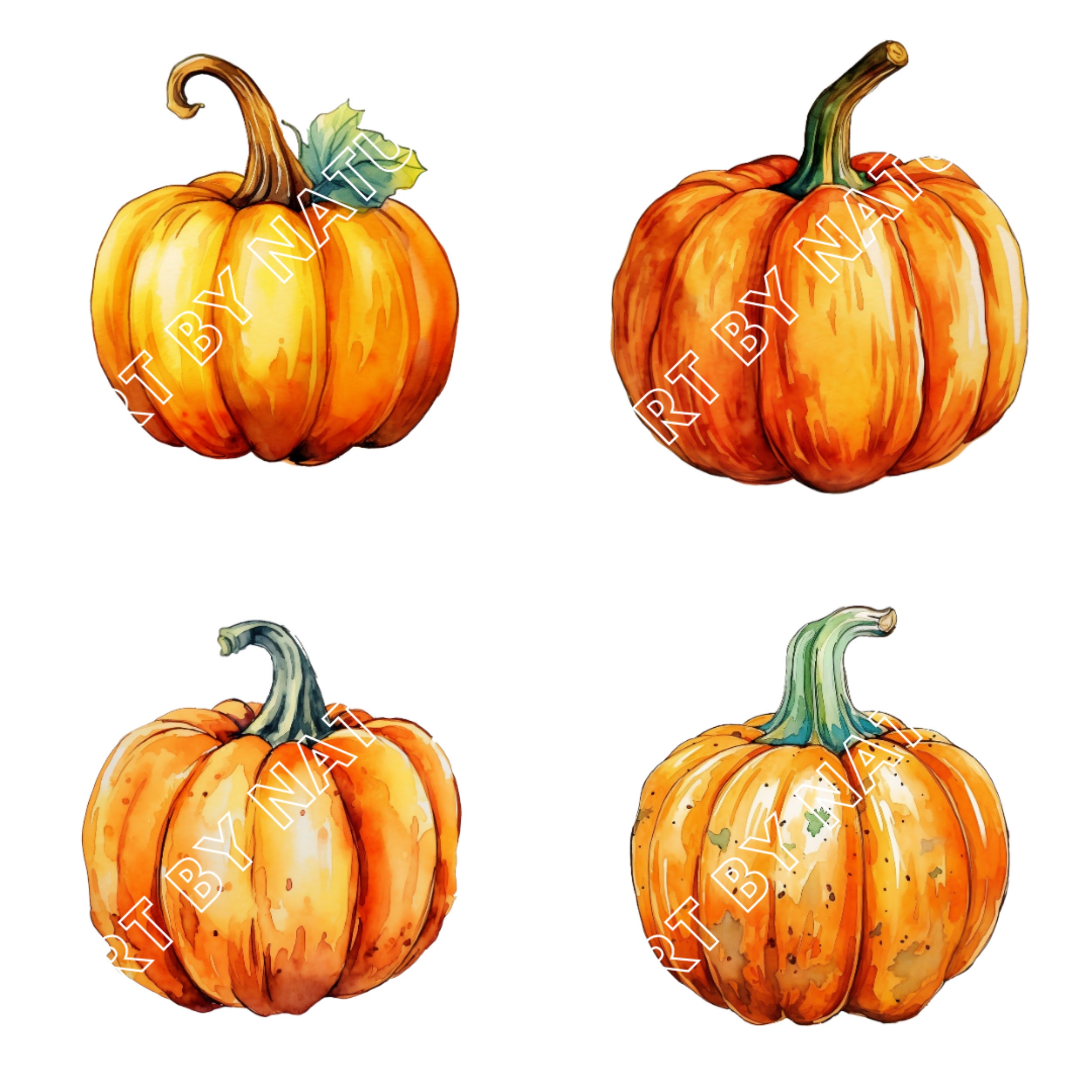 Watercolor Fall Pumpkin Clipart Pack, Autumn Watercolor in PNG Format ...