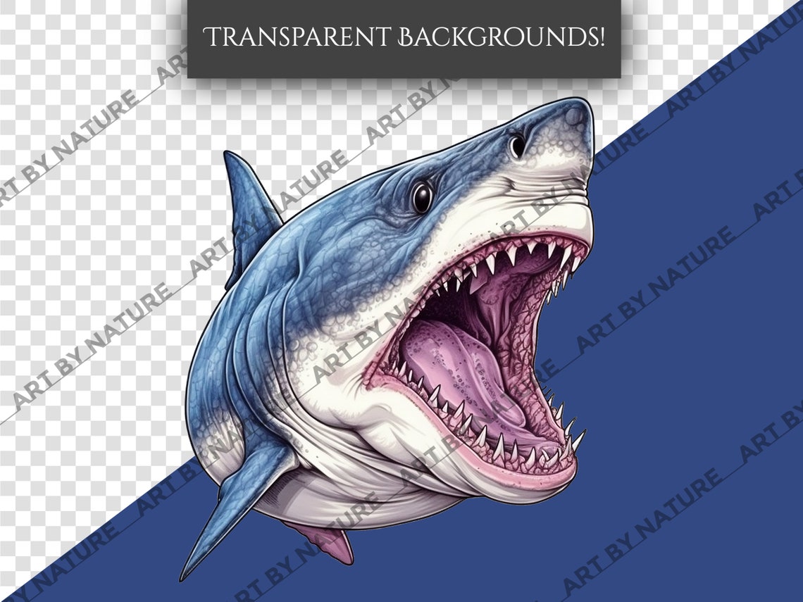 Megalodon Shark Clipart Pack, Commercial Use, Transparent Pngs ...