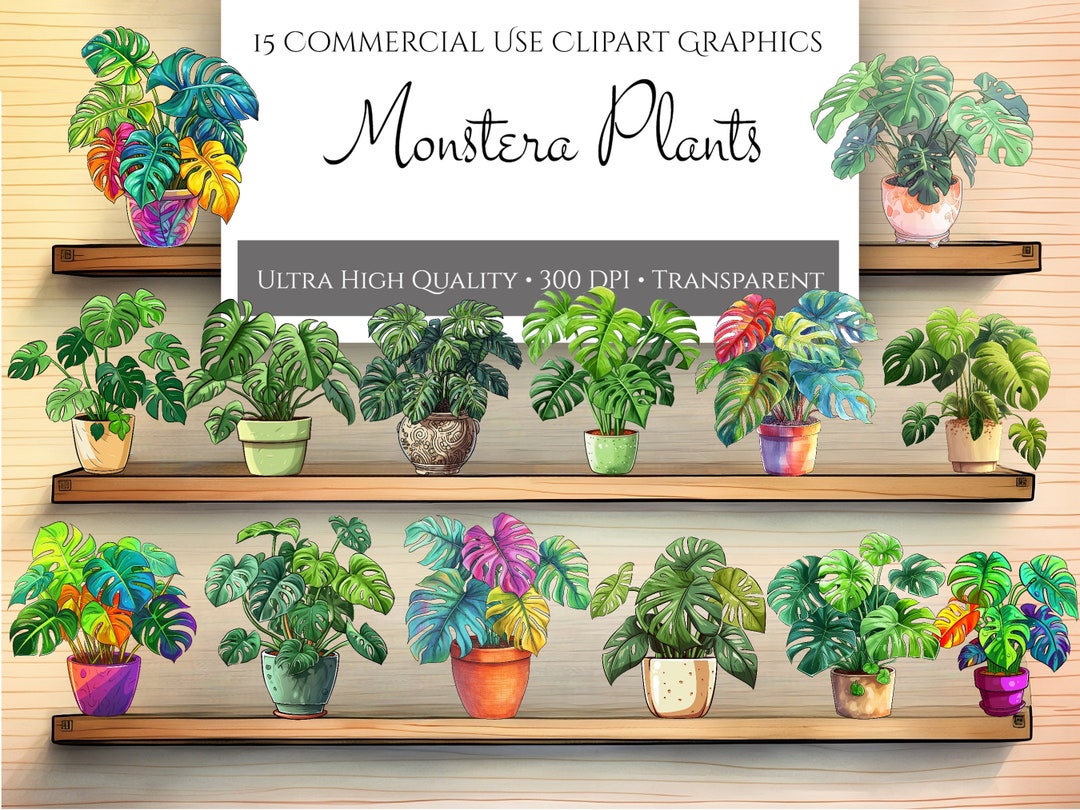 Potted Monstera PNG Clipart Bundle, Digital Monstera Graphics, Instant ...