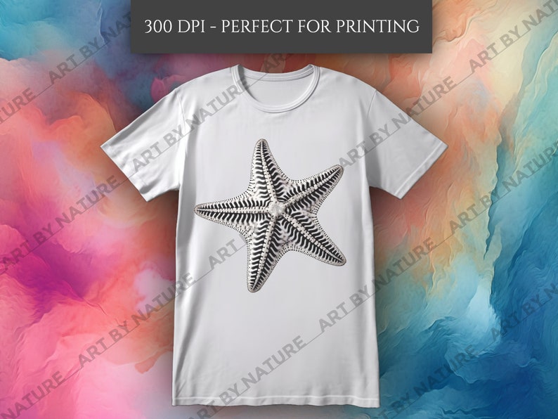 Starfish Clipart Pack Commercial Use Transparent Pngs Ocean - Etsy
