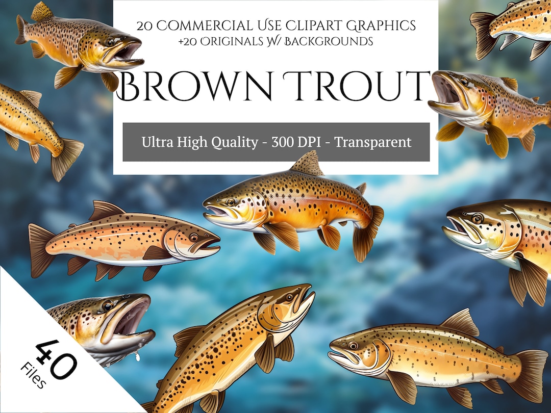 Brown Trout Clipart Pack, Commercial Use, Transparent Pngs, Lake Fish ...