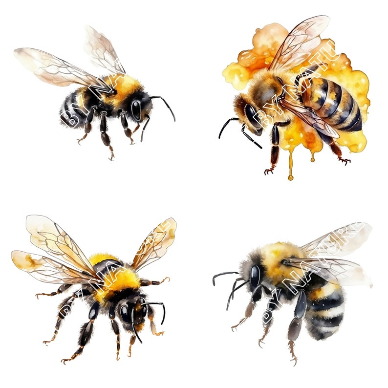 Watercolor Bumblebee Clipart Pack | Summer Clipart | Floral Honeybee ...
