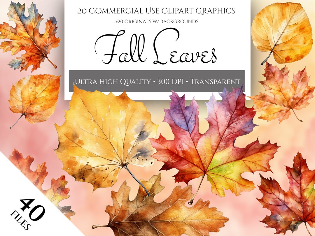 20 Watercolor Fall Leaves Clipart, Autumn Clipart, Fall PNG Clipart ...