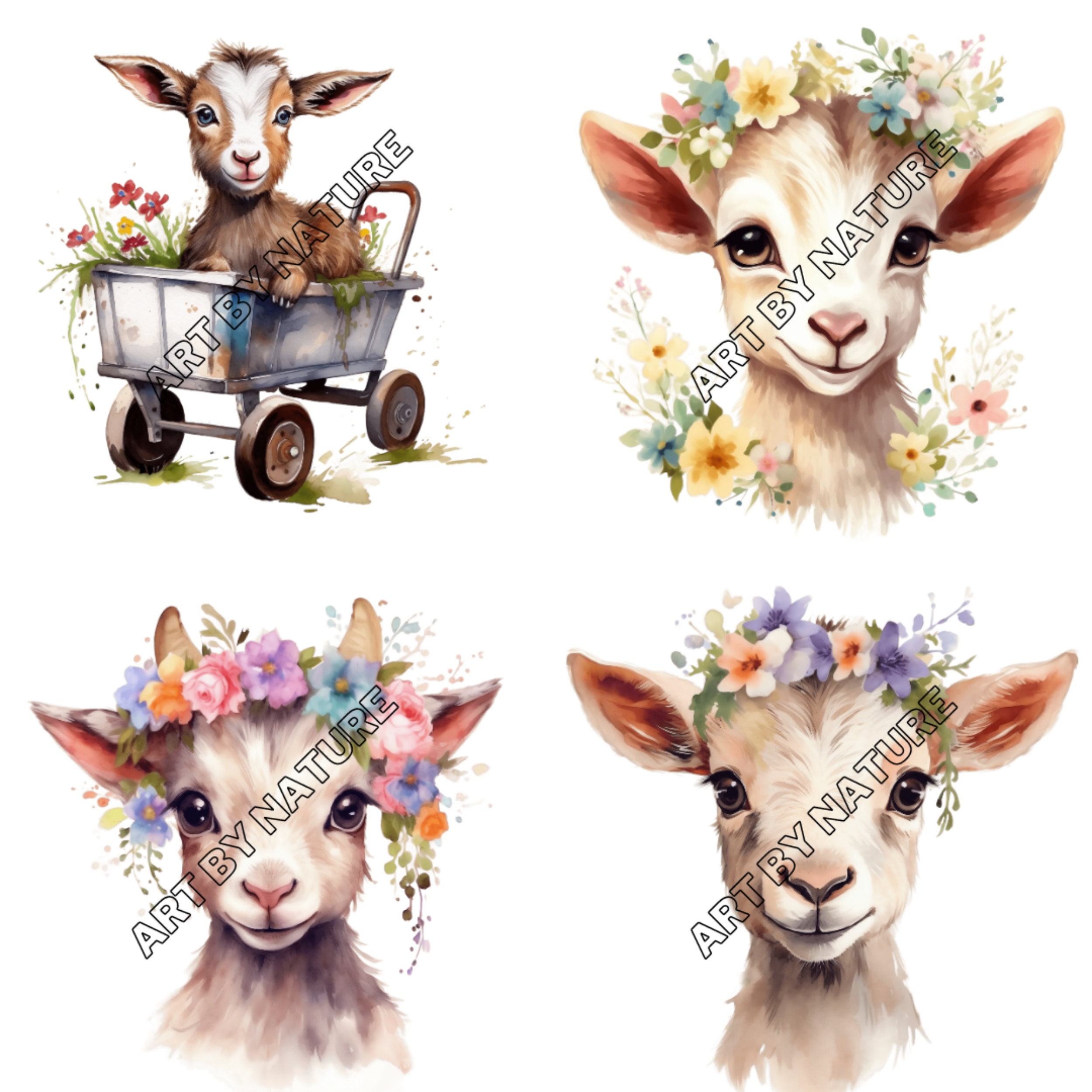 Watercolor Baby Goats Clipart Bundle, Cute Floral Watercolor Baby Goats ...