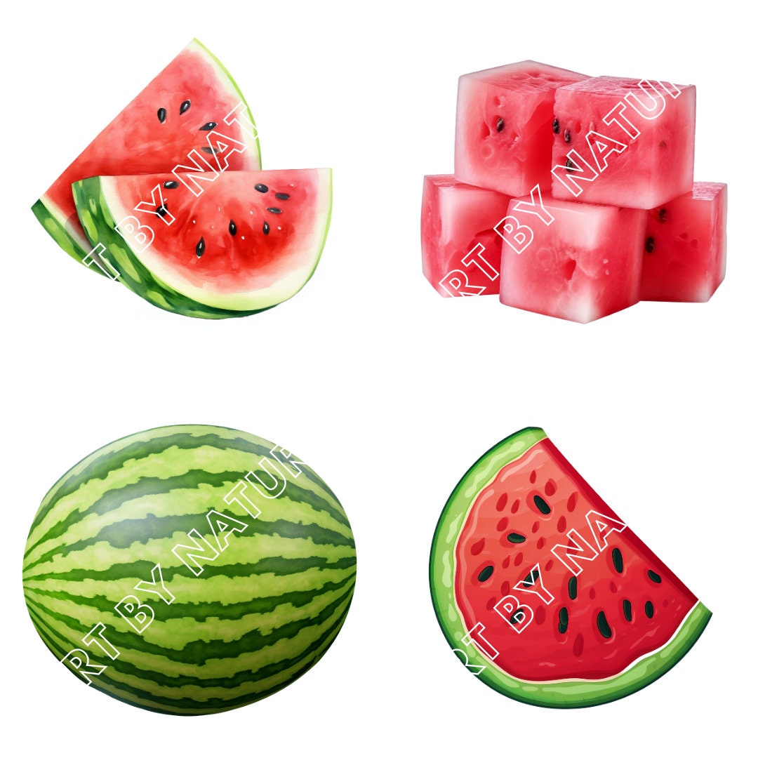 Watermelon Watercolor Clipart Bundle Refreshing Summer Watermelon ...