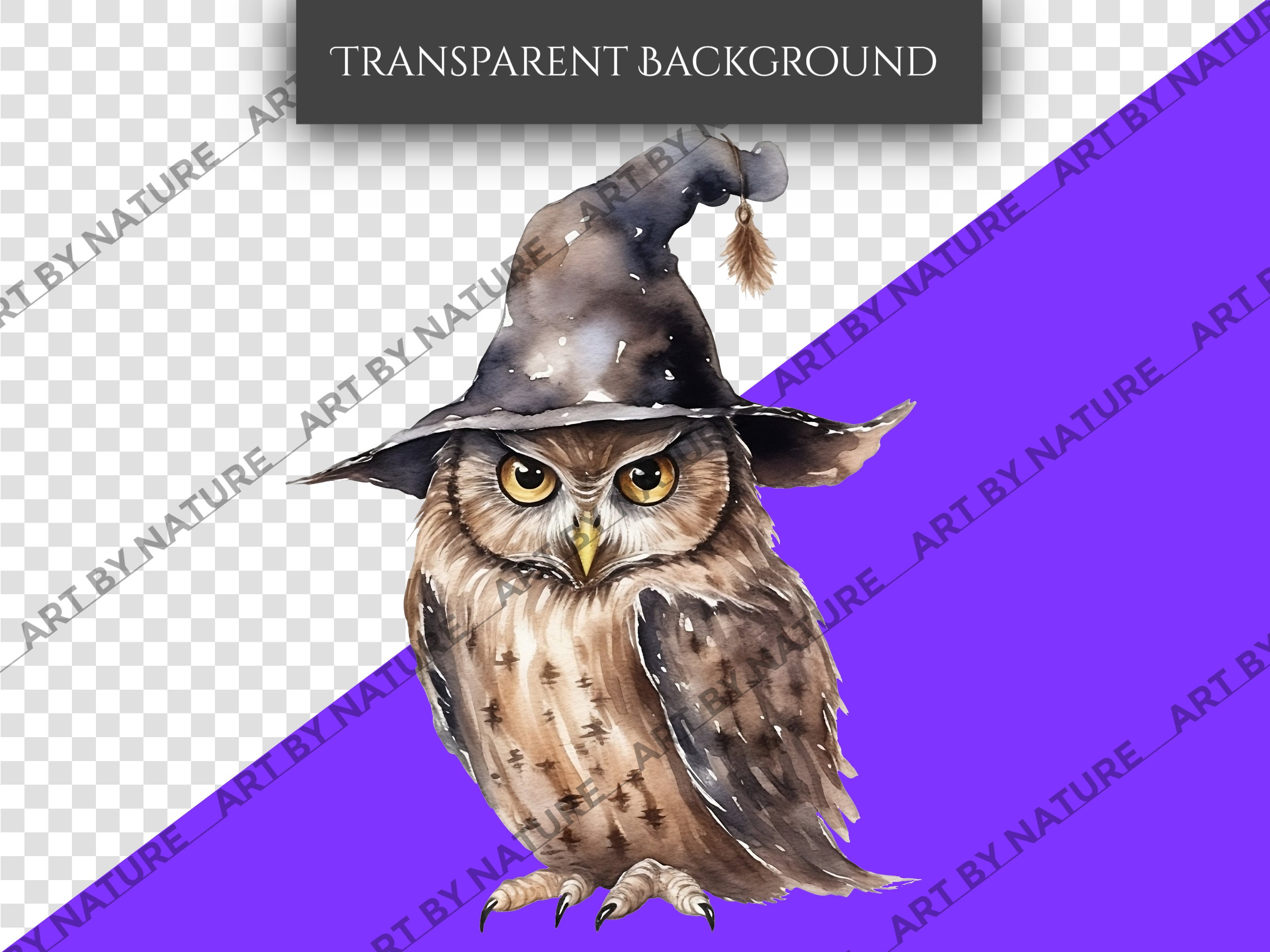 Magic Owl PNG Clipart Colorful Owl Design Graphics Clip Art for ...