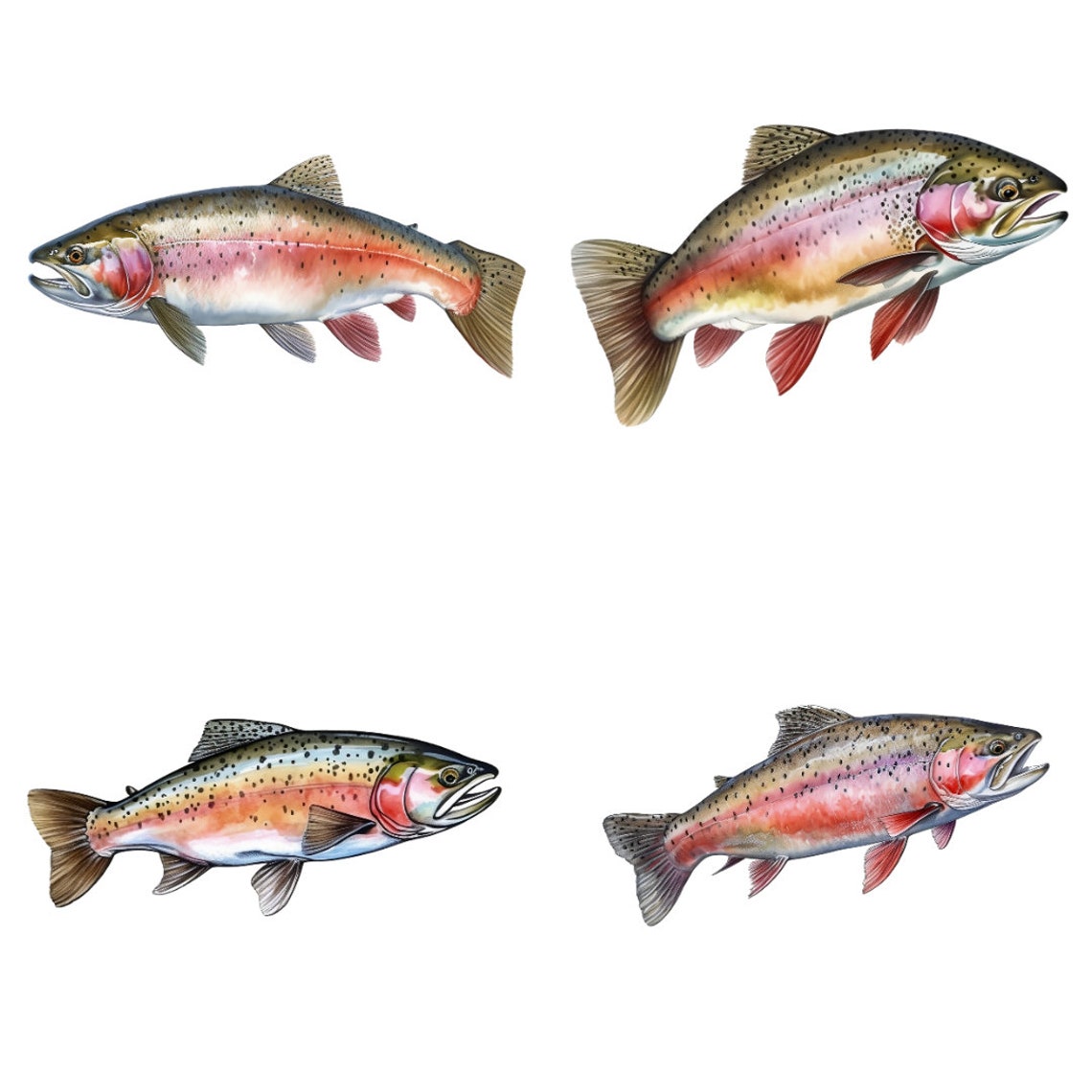 Rainbow Trout Clipart Pack, Commercial Use, Transparent Pngs, Lake Fish ...