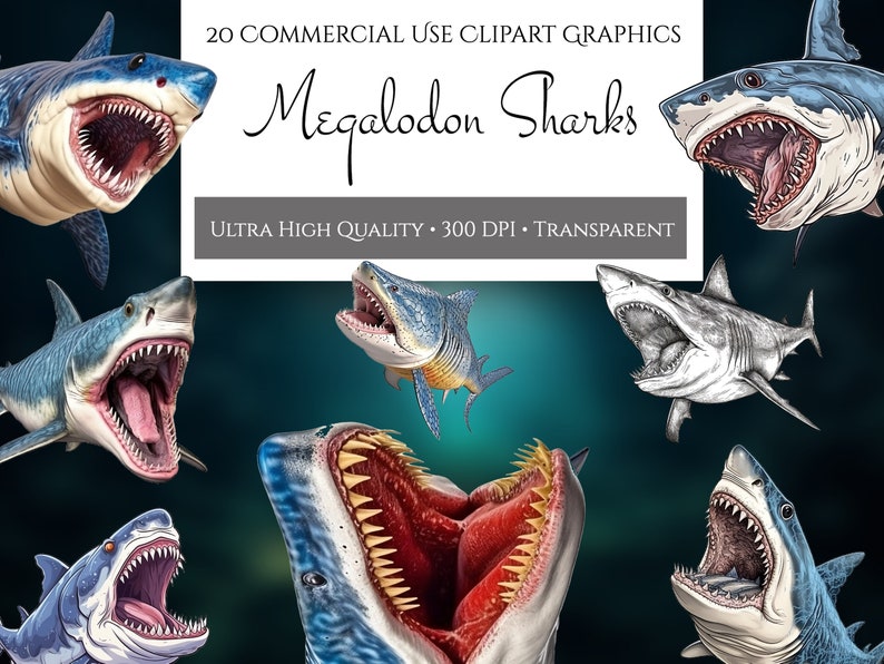 Megalodon Shark Clipart Pack, Commercial Use, Transparent Pngs ...