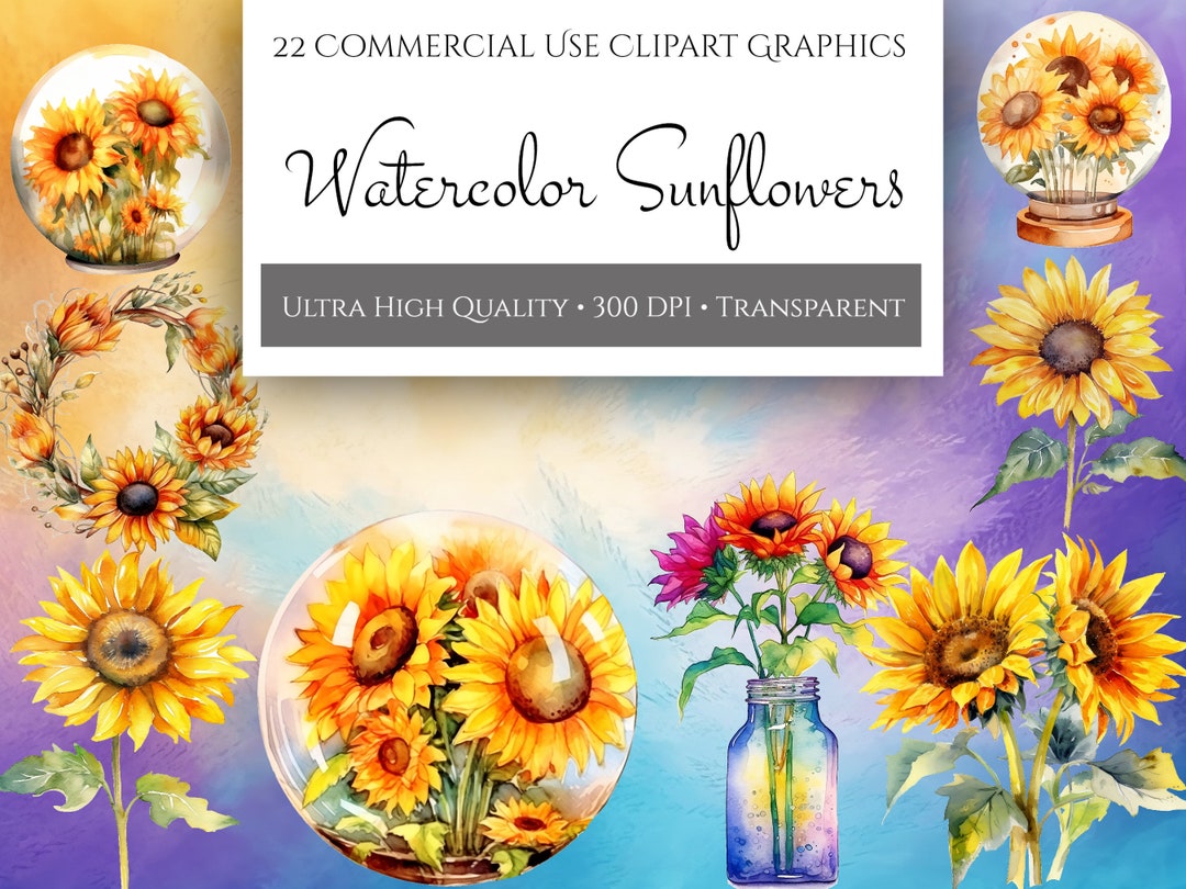 Sunflower Watercolor Clipart - Fall Sunflowers in PNG Format Instant ...