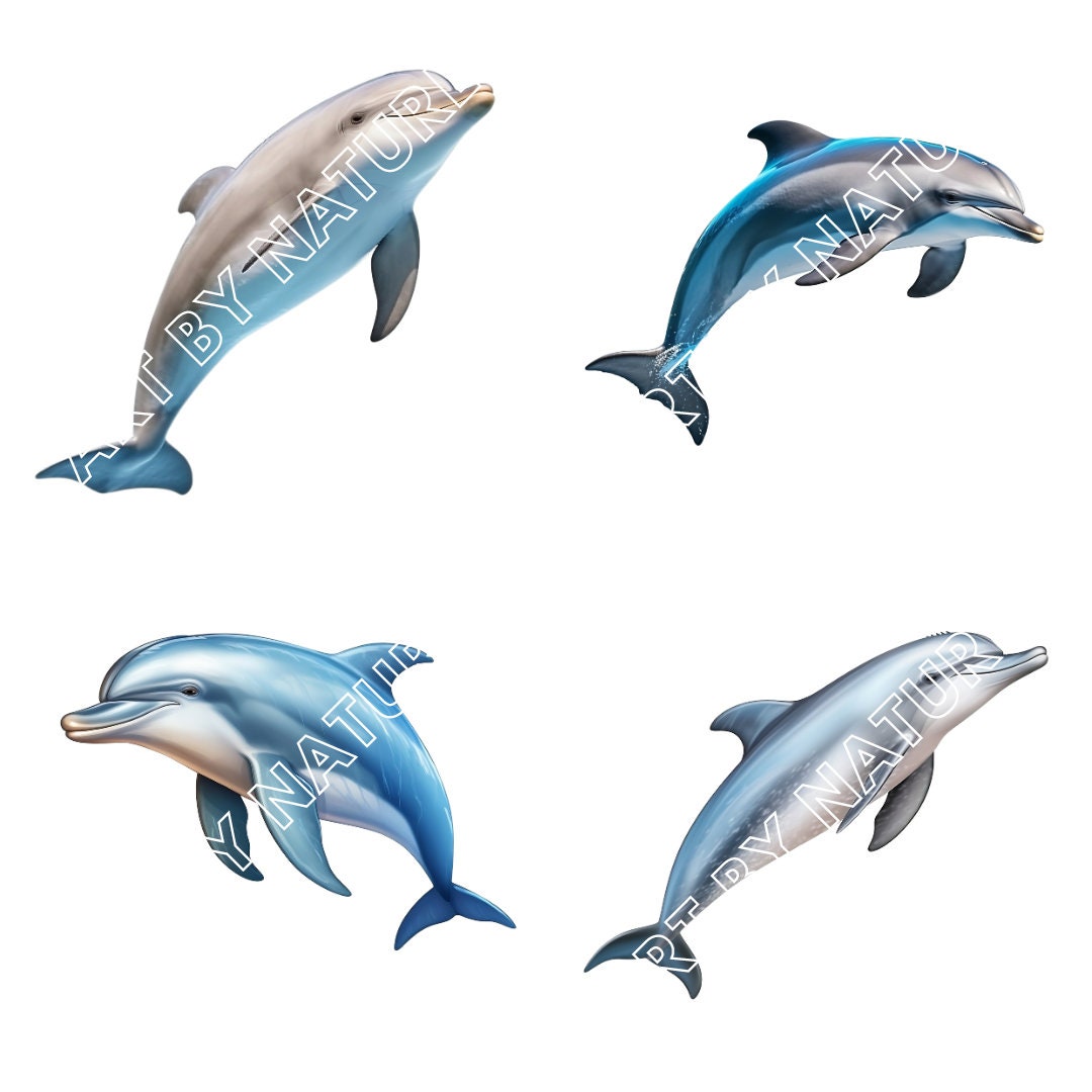 Dolphin Clipart Pack, Clipart for Commercial Use, Transparent Pngs ...