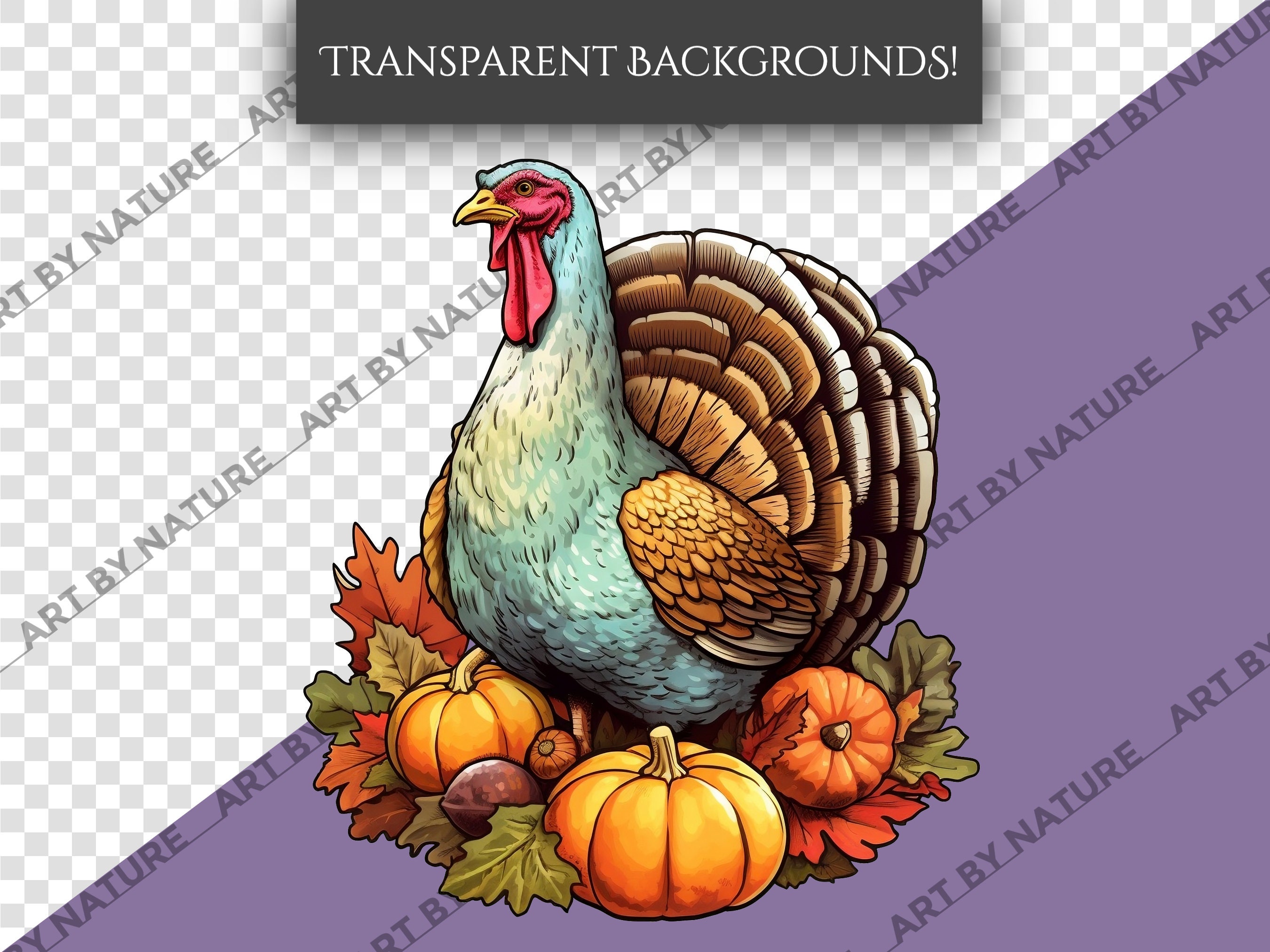 Thanksgiving Turkey Clipart Pack, High Quality PNG Digital Planner ...