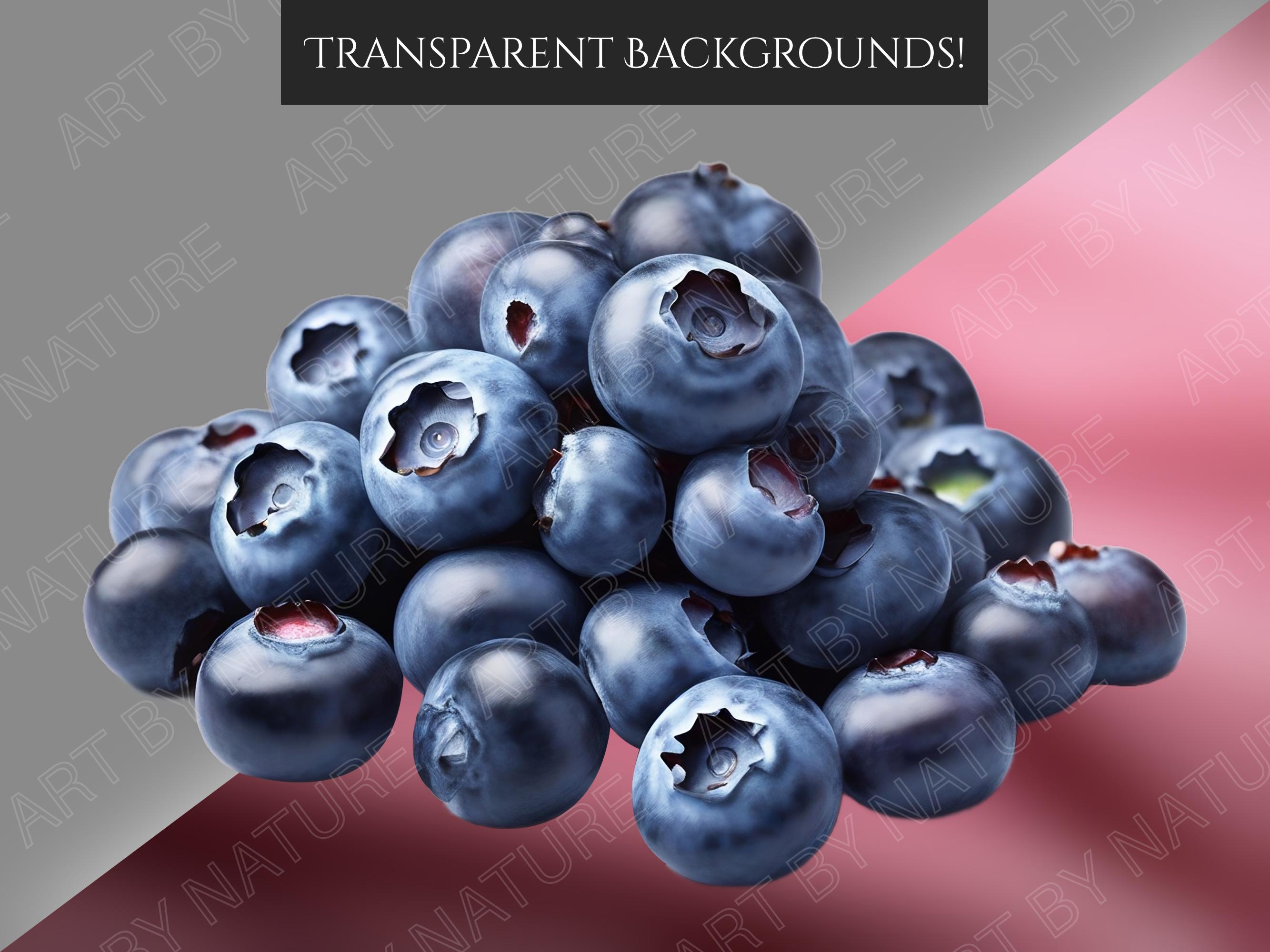 Blueberry Clipart, Commercial Use, Transparent PNG, Blueberries Art ...