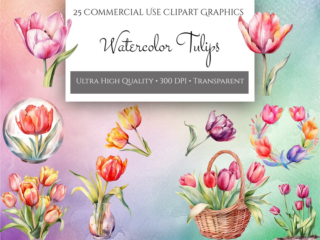 Tulip Watercolor Clipart Bundle, Colorful Flower Arrangement Summer ...