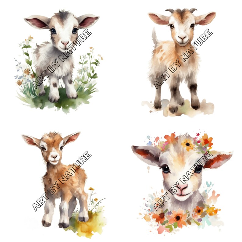 Watercolor Baby Goats Clipart Bundle, Cute Floral Watercolor Baby Goats ...