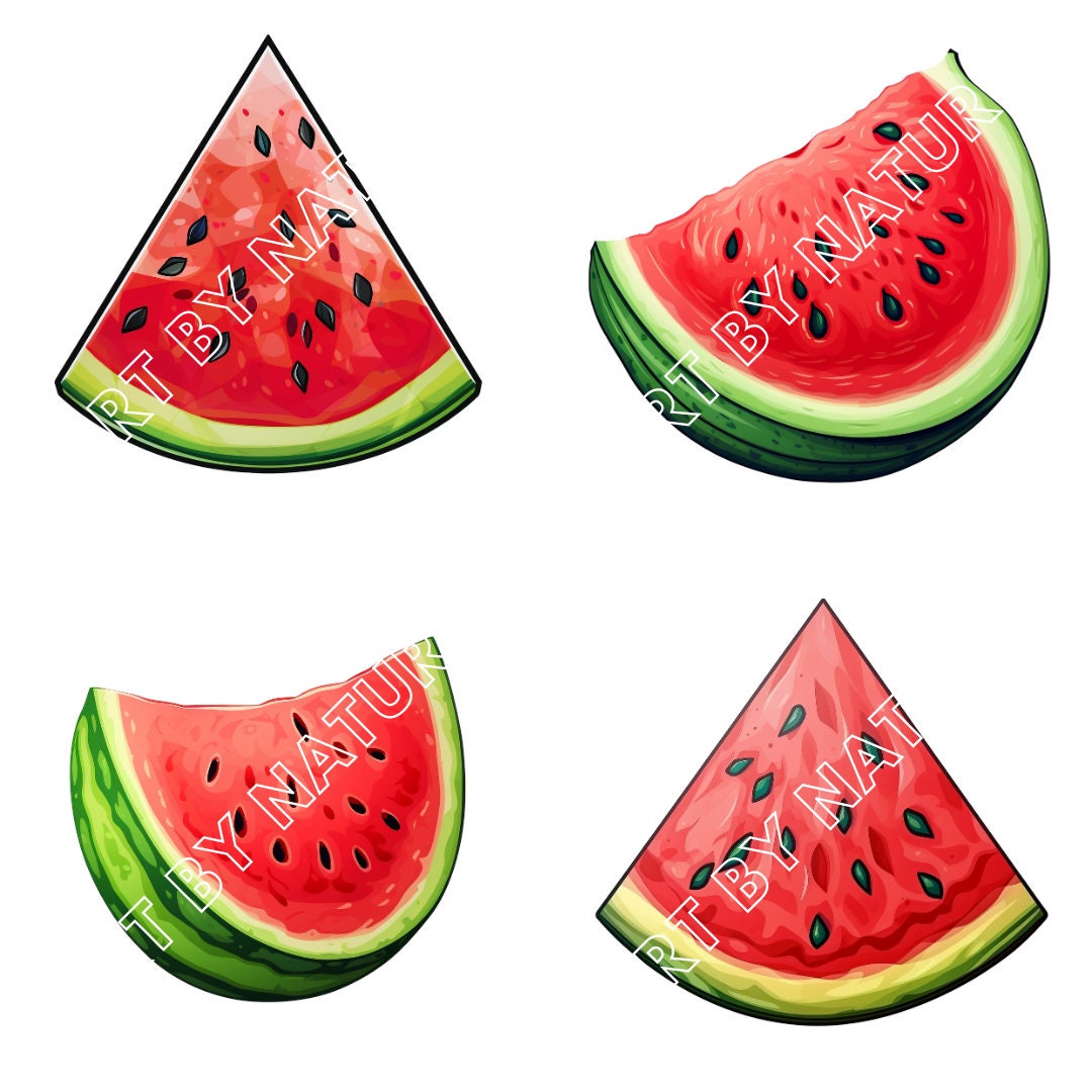 Watermelon Watercolor Clipart Bundle Refreshing Summer Watermelon ...