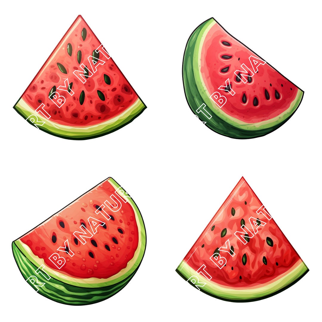 Watermelon Watercolor Clipart Bundle Refreshing Summer Watermelon ...