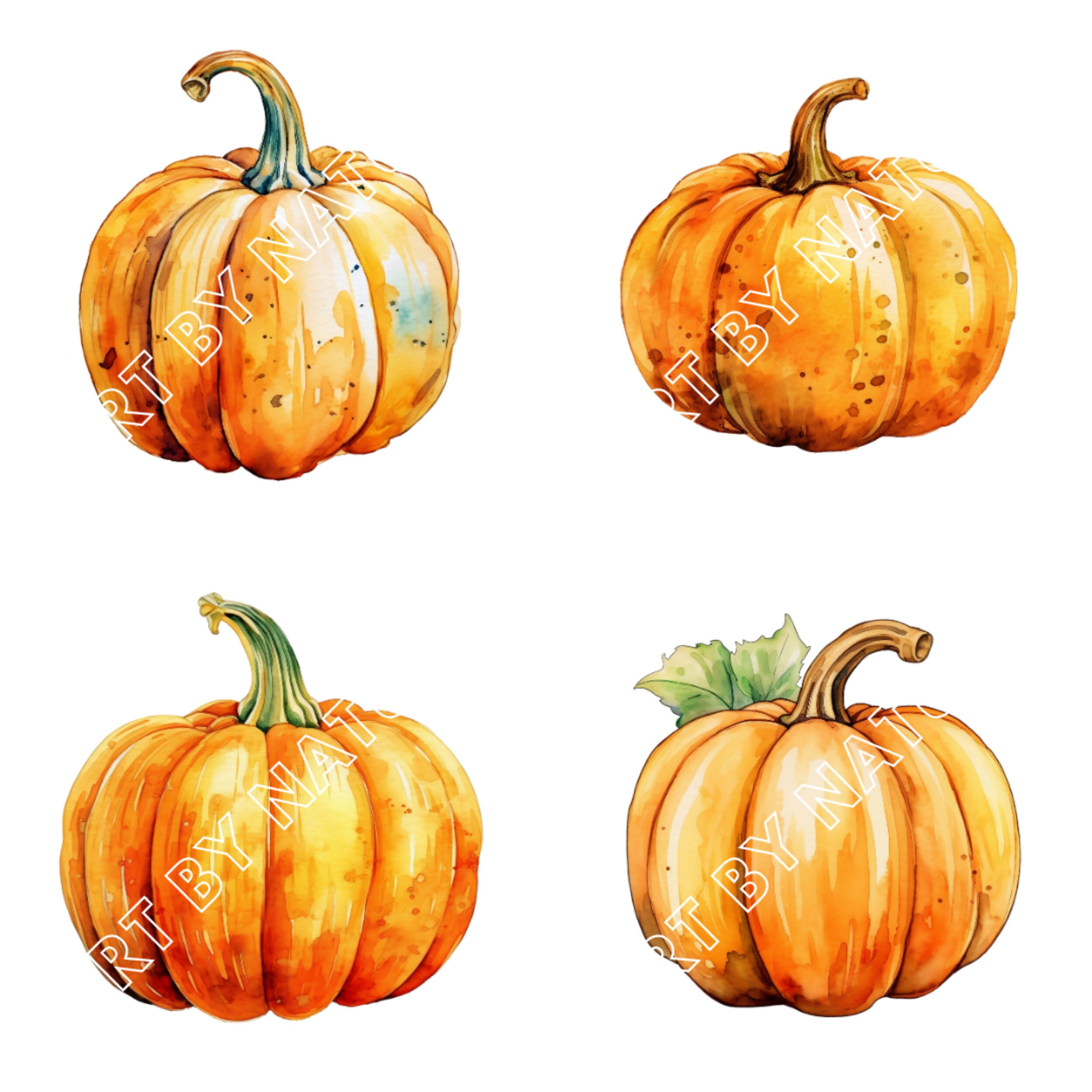Watercolor Fall Pumpkin Clipart Pack, Autumn Watercolor in PNG Format ...