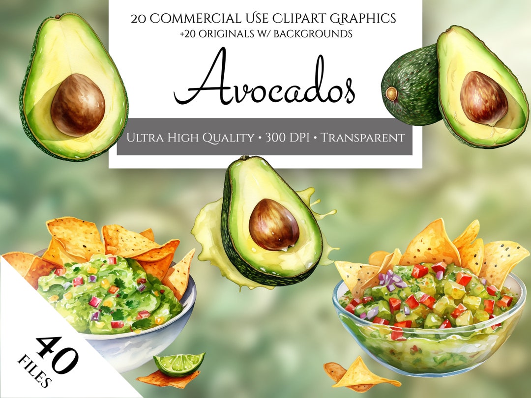 Watercolor Avocado Clipart Pack, 20 High Quality Avocado PNG Designs ...