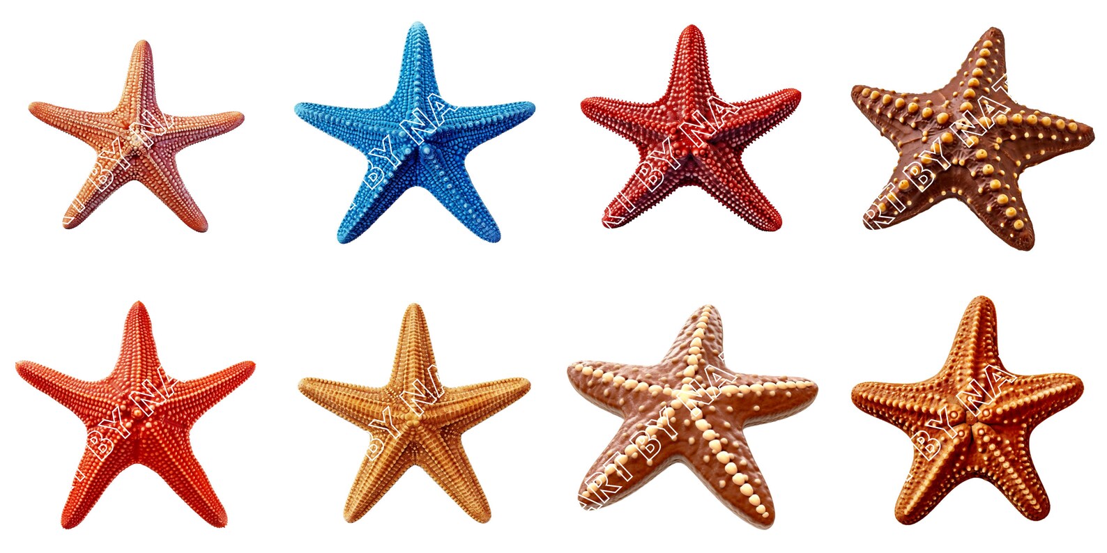 Starfish Clipart Pack, Commercial Use, Transparent Pngs, Ocean Life ...