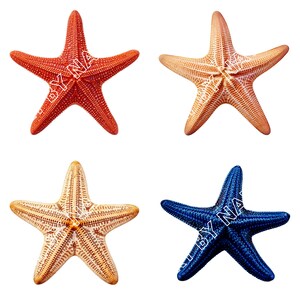 Starfish Clipart Pack, Commercial Use, Transparent Pngs, Ocean Life ...