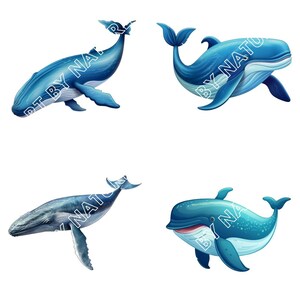 Whales Clipart Pack, Clipart Graphics for Commercial Use, Transparent ...
