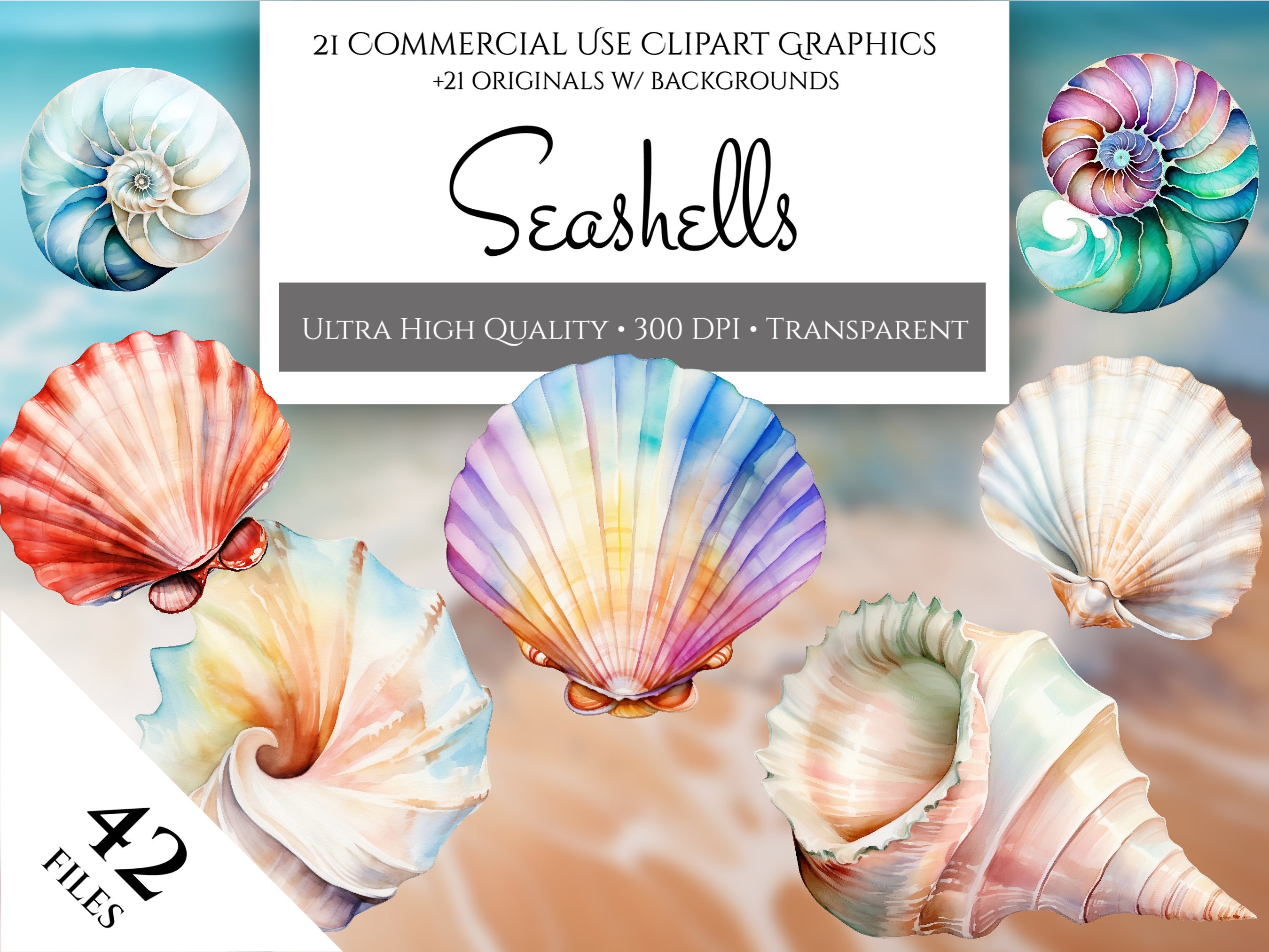 Watercolor Seashells Clipart Pack, 20 High Quality PNG Seashell Designs ...