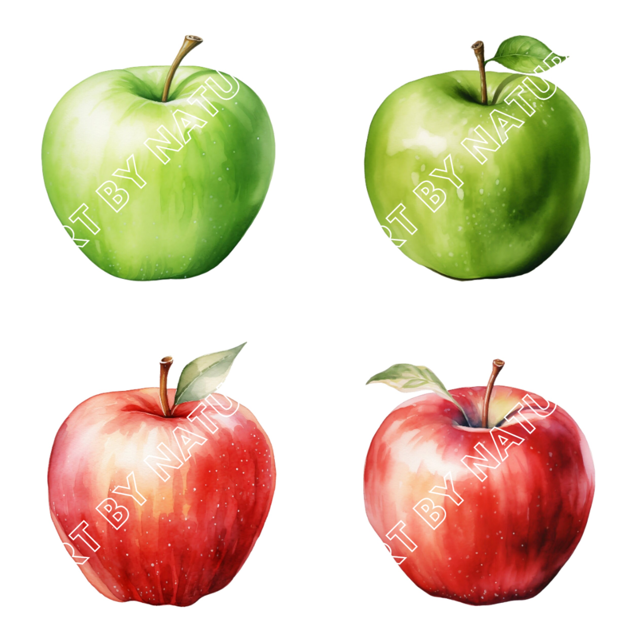 20 Watercolor Apples Clipart Pack, High Quality Apples for Commercial ...