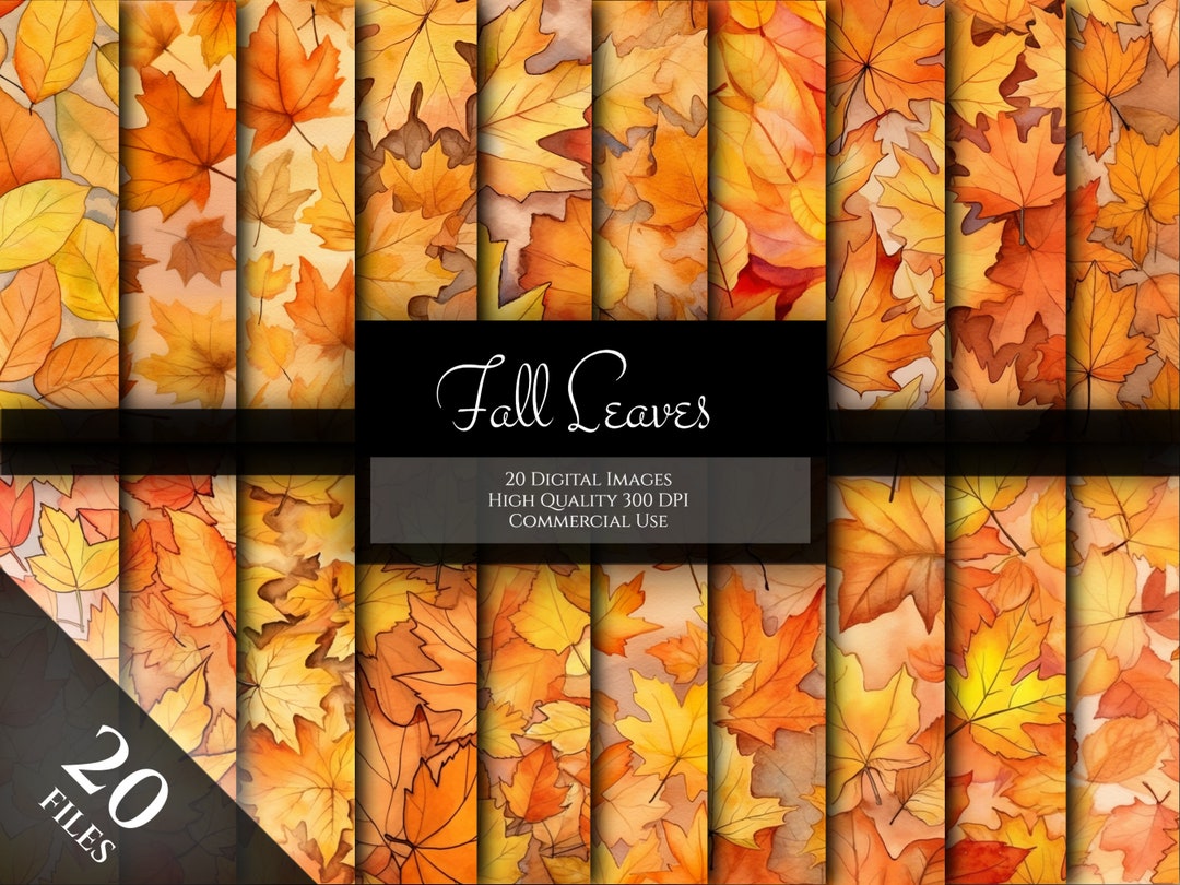 Fall Leaves Digital Paper, 20 High Quality PNG Watercolor Leaves for ...