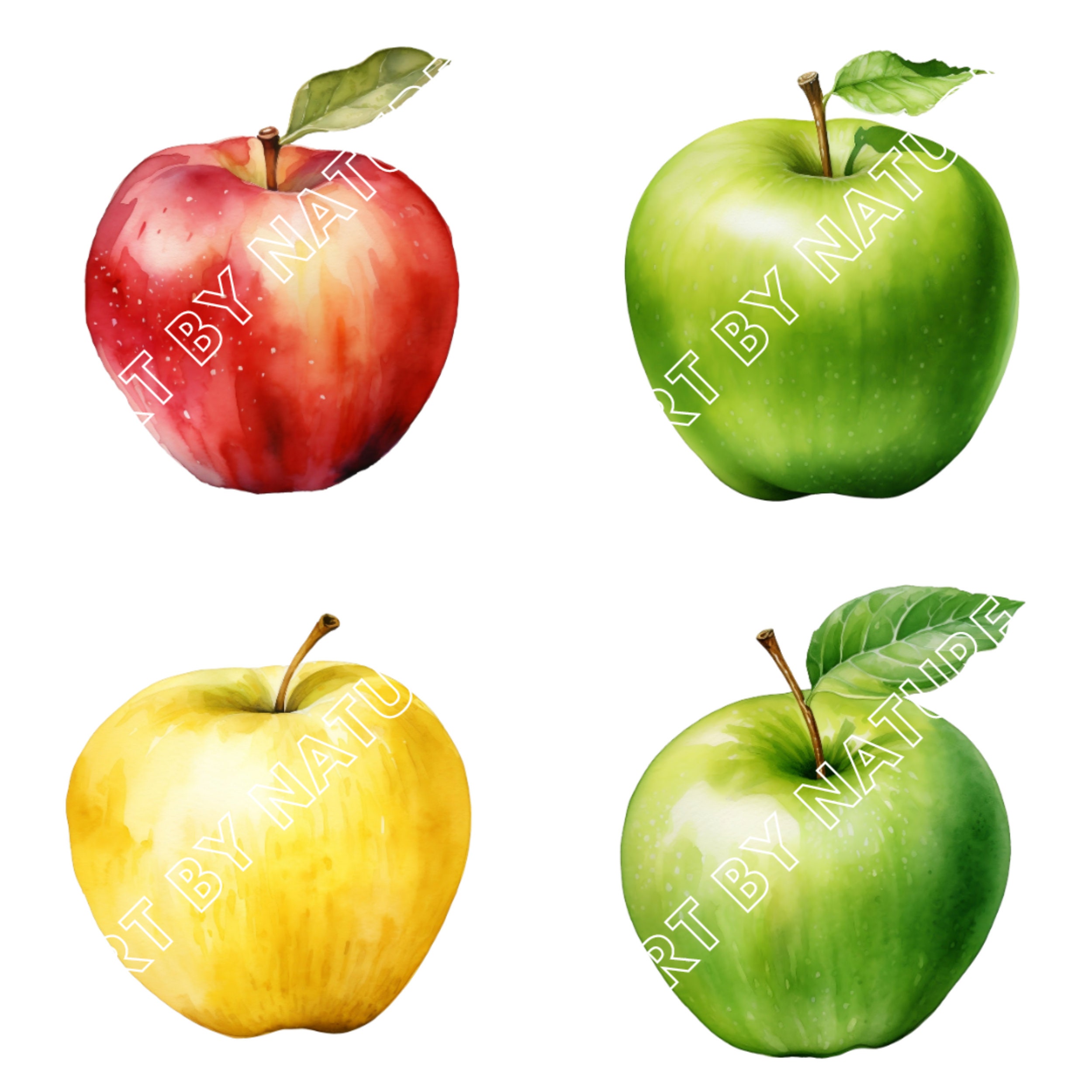 20 Watercolor Apples Clipart Pack, High Quality Apples for Commercial ...